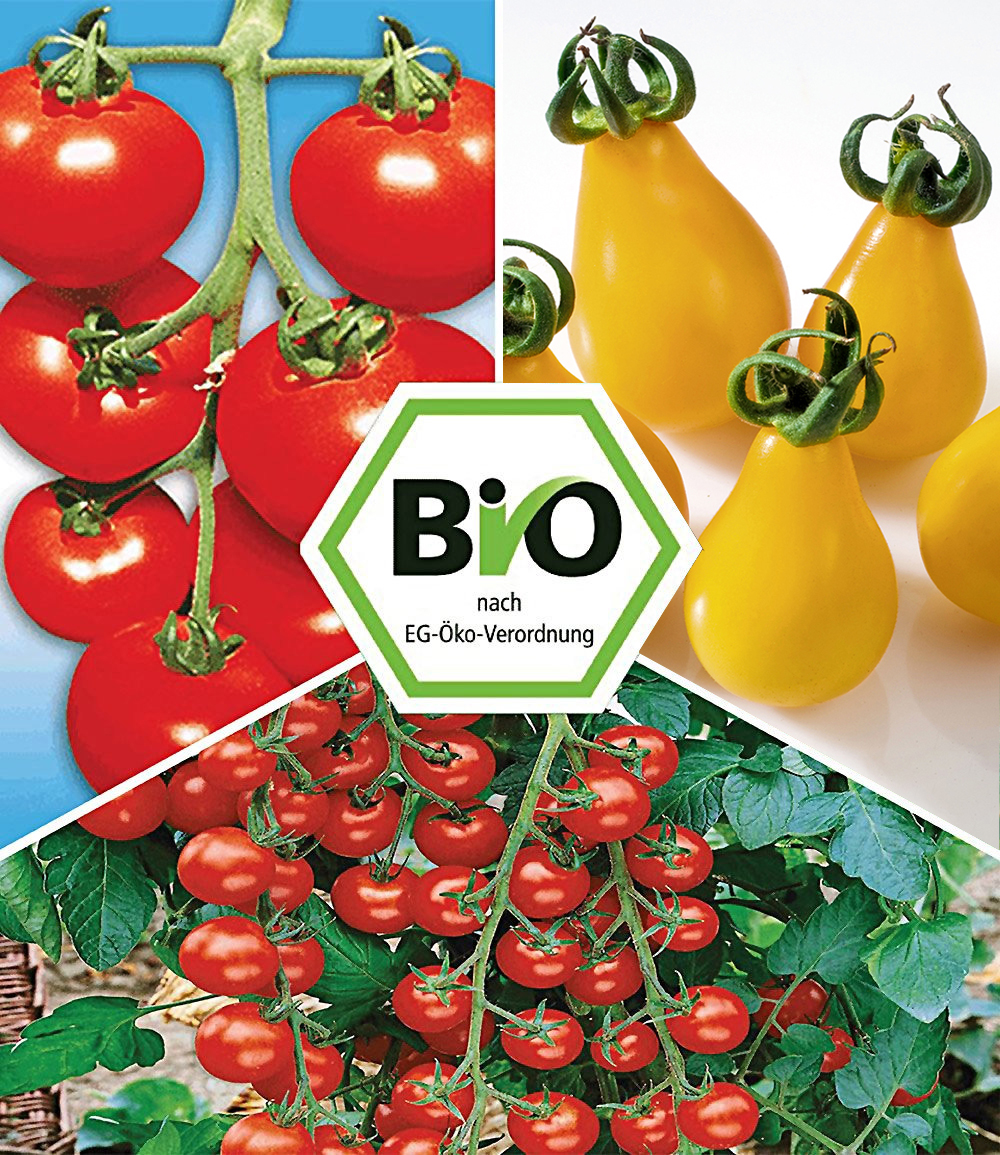 BIO-Tomaten-Kollektion - Shop Ambiente Mediterran